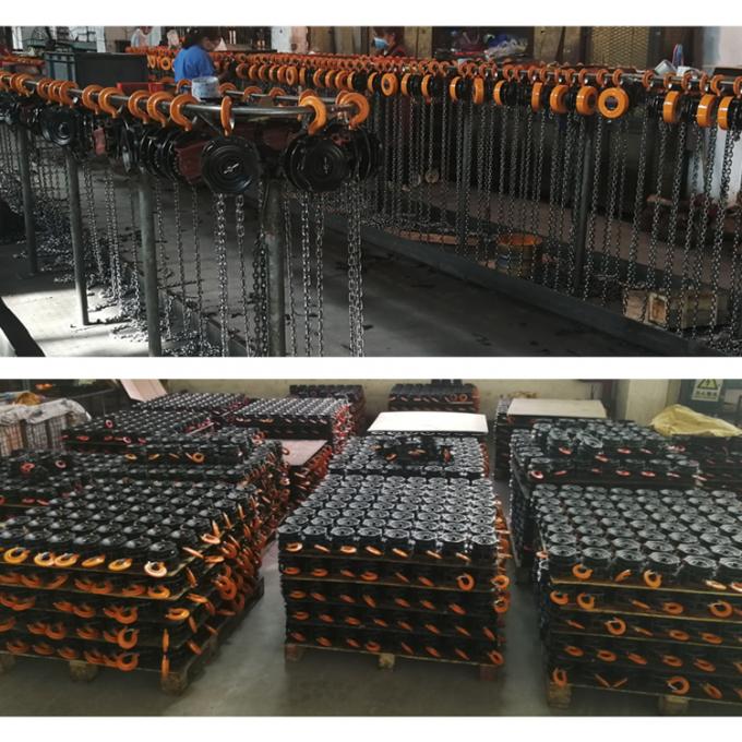 Standard Lifting Height Grade 80 Overload Protection Chain Hoist