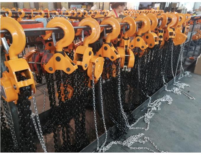 Galvanized Fixed Load 2T 3M 6M 9M Lifting Chain Block