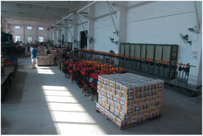 Galvanized Fixed Load 2T 3M 6M 9M Lifting Chain Block