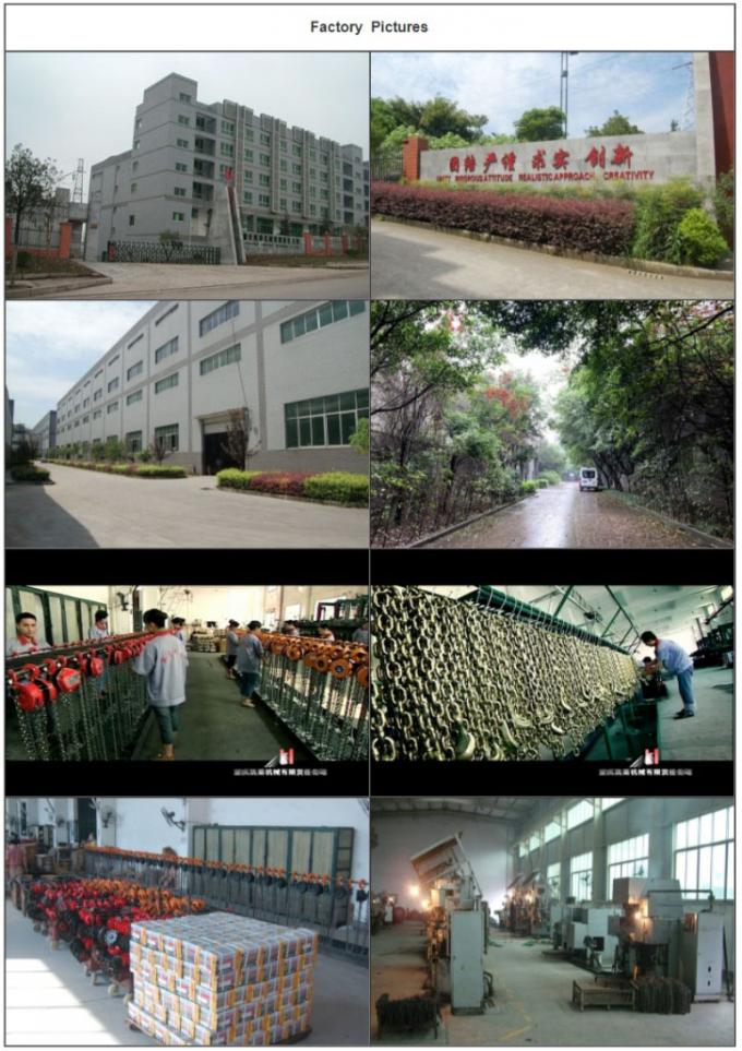 Strengthened Vital Type Lever Chain Block Cast Steel Safety Latches