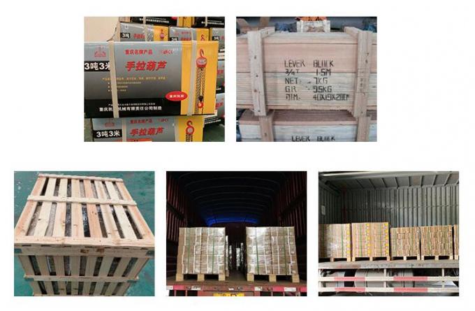 Strengthened Vital Type Lever Chain Block Cast Steel Safety Latches